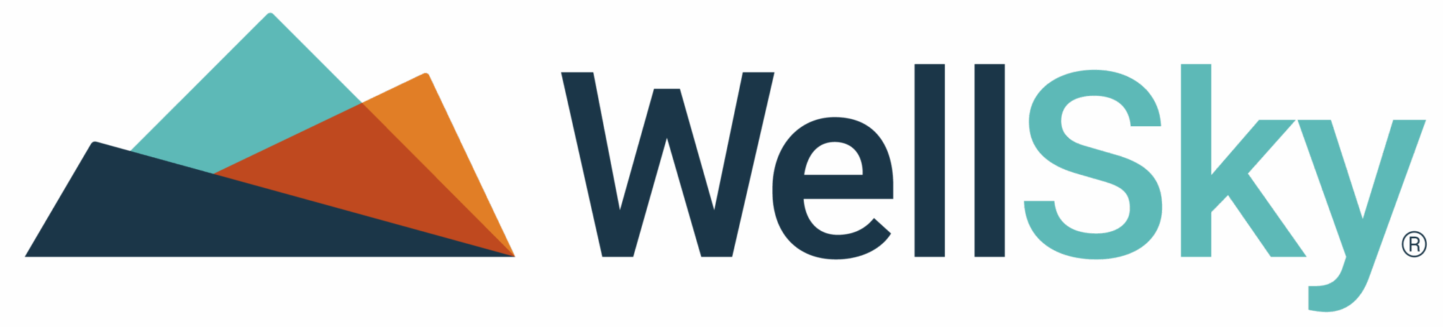 Inside WellSky: Infrastructure Connecting the Future of Value-Based ...